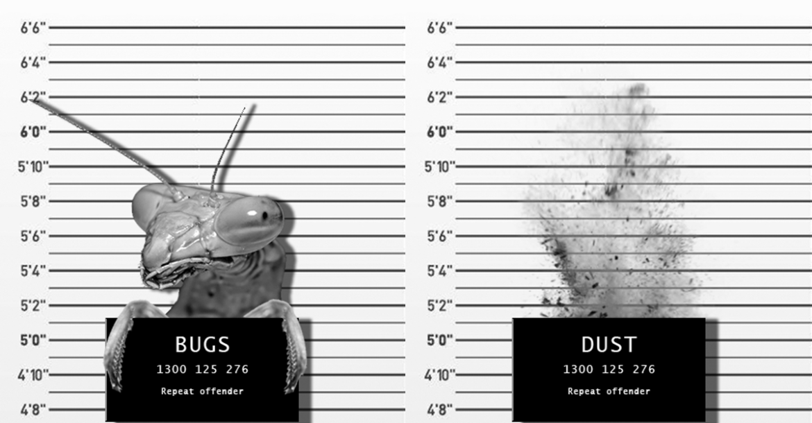 Smoke alarms: What you need to know