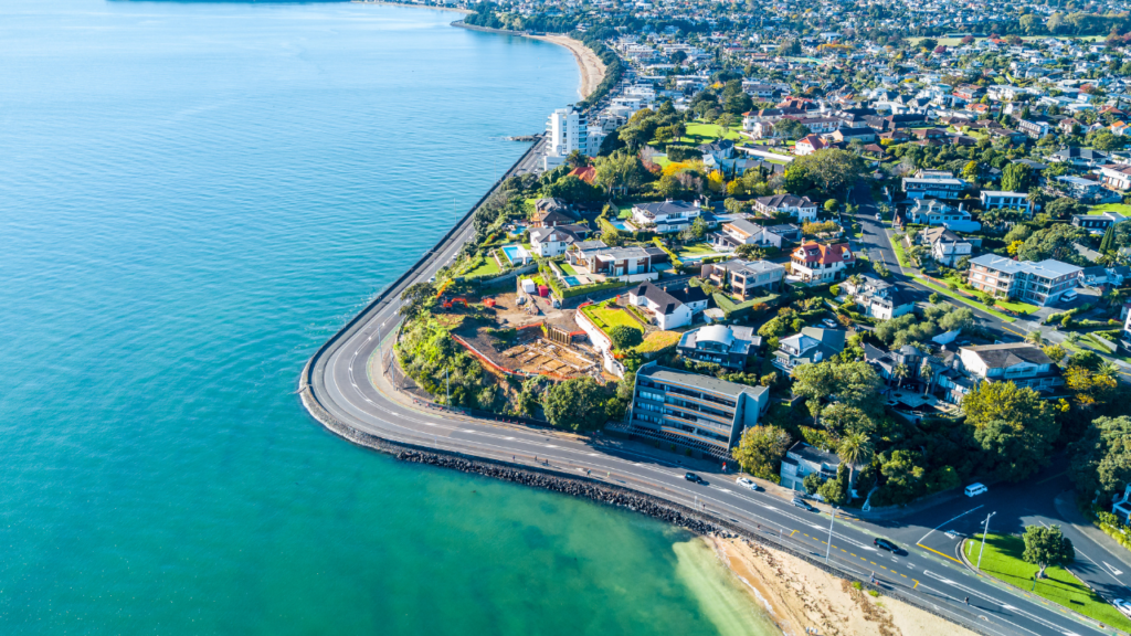 NZ First Home Buyers hit record market share