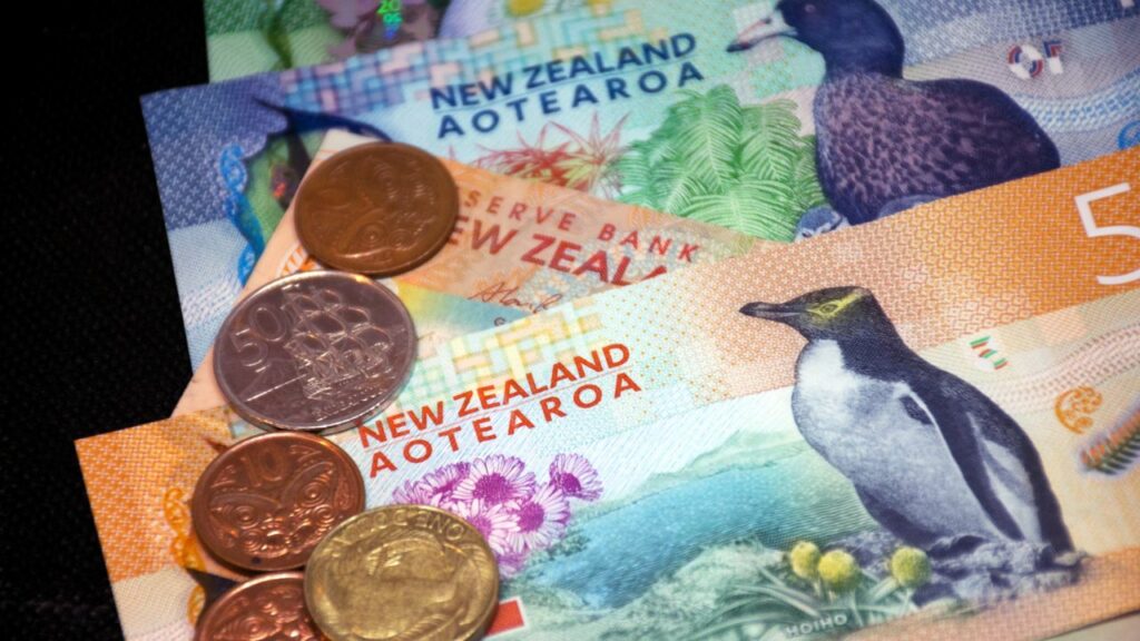 Cash buyers on the rise across New Zealand