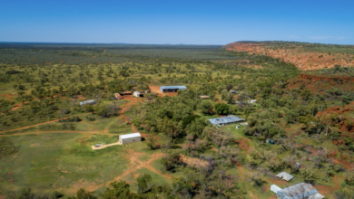 Australia's largest landowners buy NT cattle station for $70 million