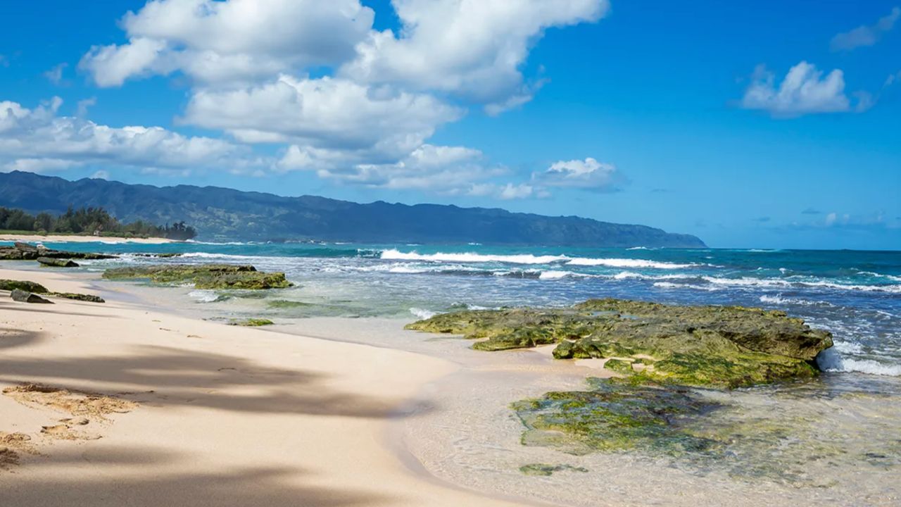 Kelly Slater says surf's up at his Hawaiian estate