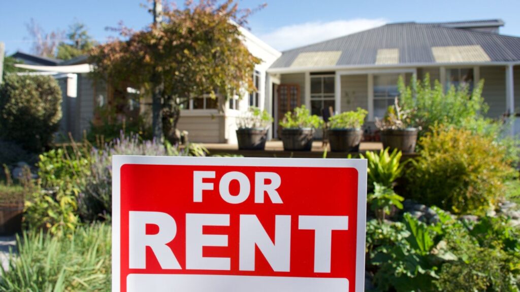 Rental markets ease slightly, but pressure remains as vacancies stay ...